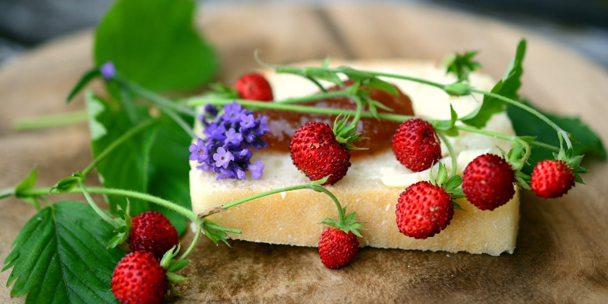 Foraging Nature's Bounty: Wildcrafting Edible Berries in Michigan ...